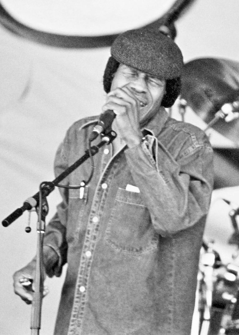 Artists - Chicago Blues Society