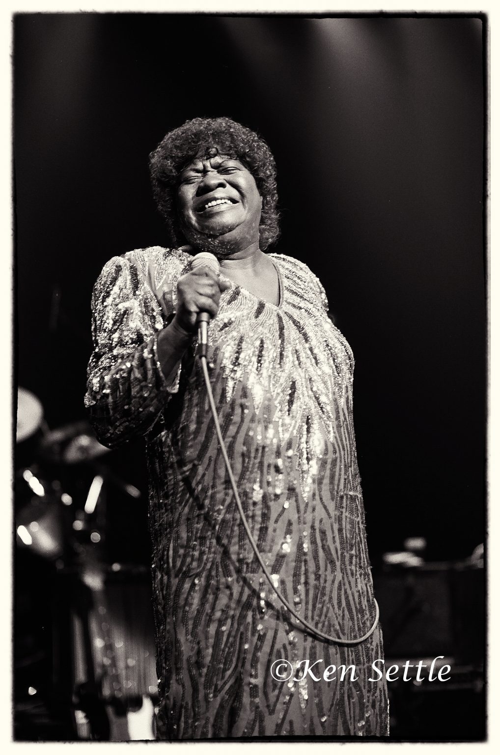 Artists - Chicago Blues Society